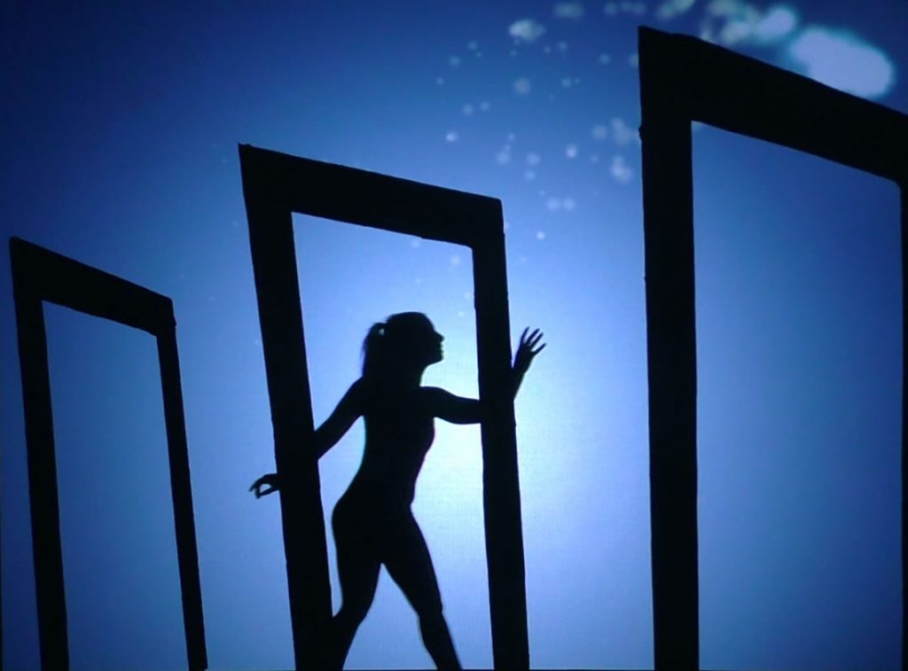 Bespoke shadow shows - Tumbellina