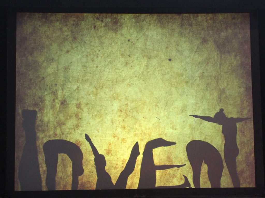 Bespoke shadow shows - Tumbellina