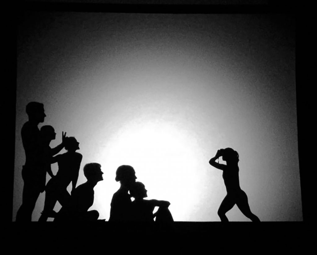 Bespoke shadow shows - Tumbellina